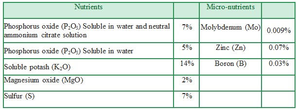 Haifa Multicote 12 (14-7-14+2MgO + Micronutrients) | Agriros